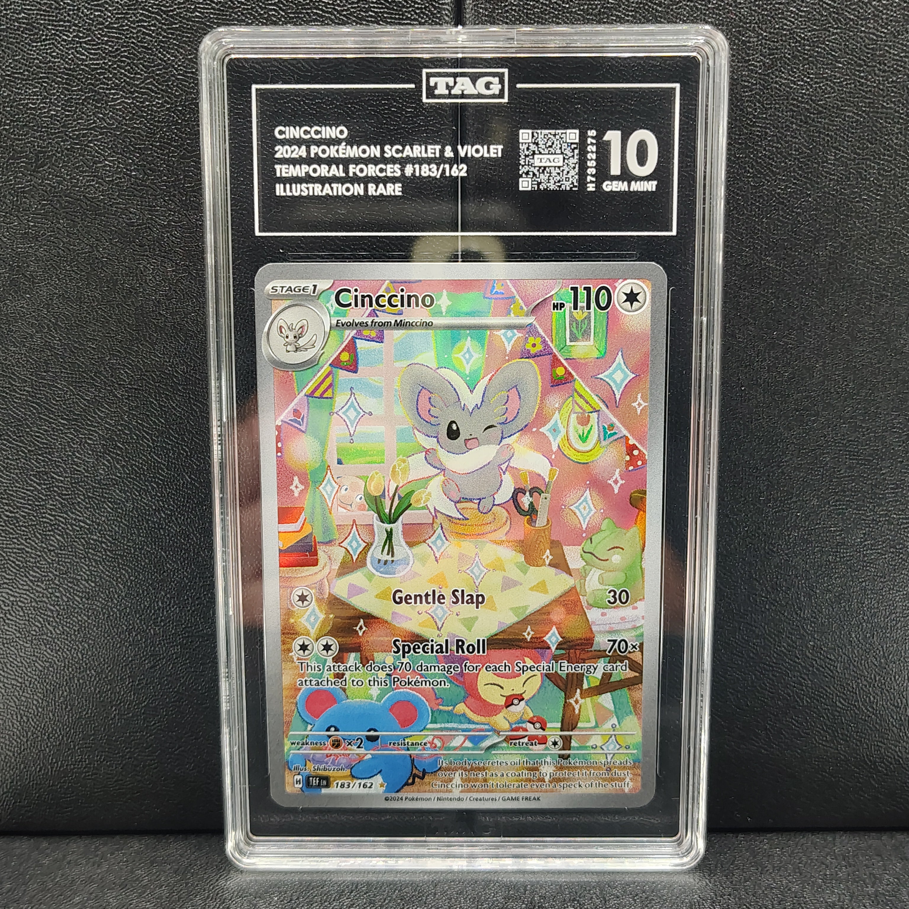 TAG 10 Cinccino Illustration Rare (IR) - Temporal Forces English – Danireon Cards & Games